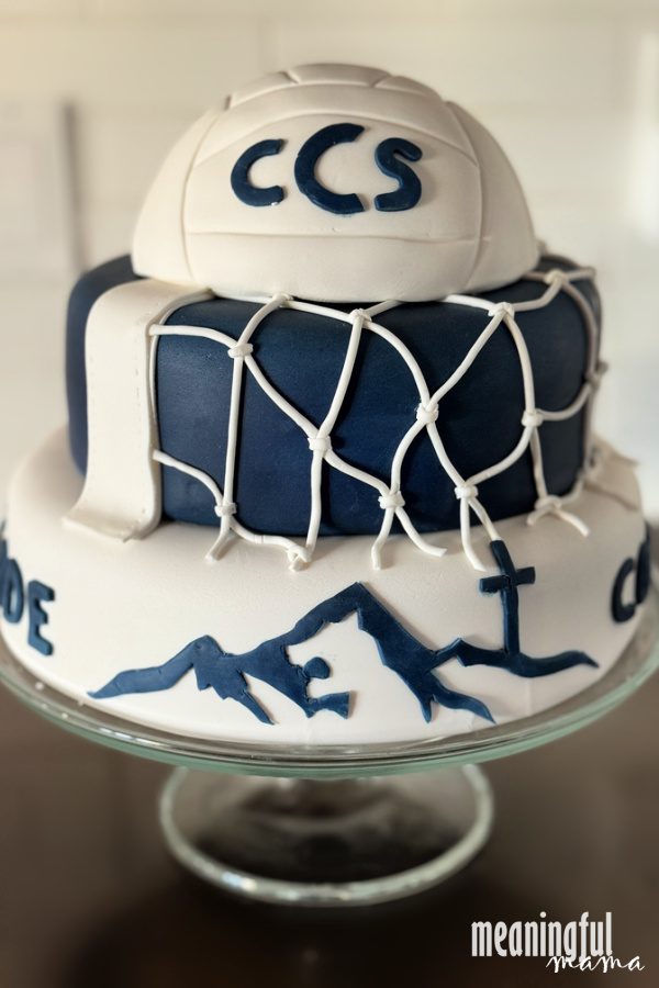 Beautiful Volleyball Cake