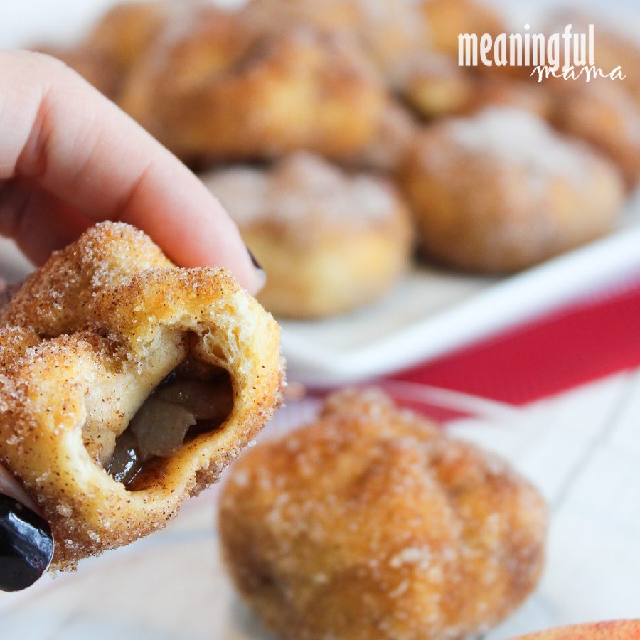 Easy Air Fryer Apple Pie Fritters